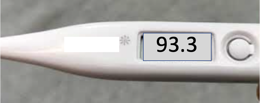 'Mercury' vs. Digital Thermometers: Some Metallurgy and a Rant | American Council on Science and ...